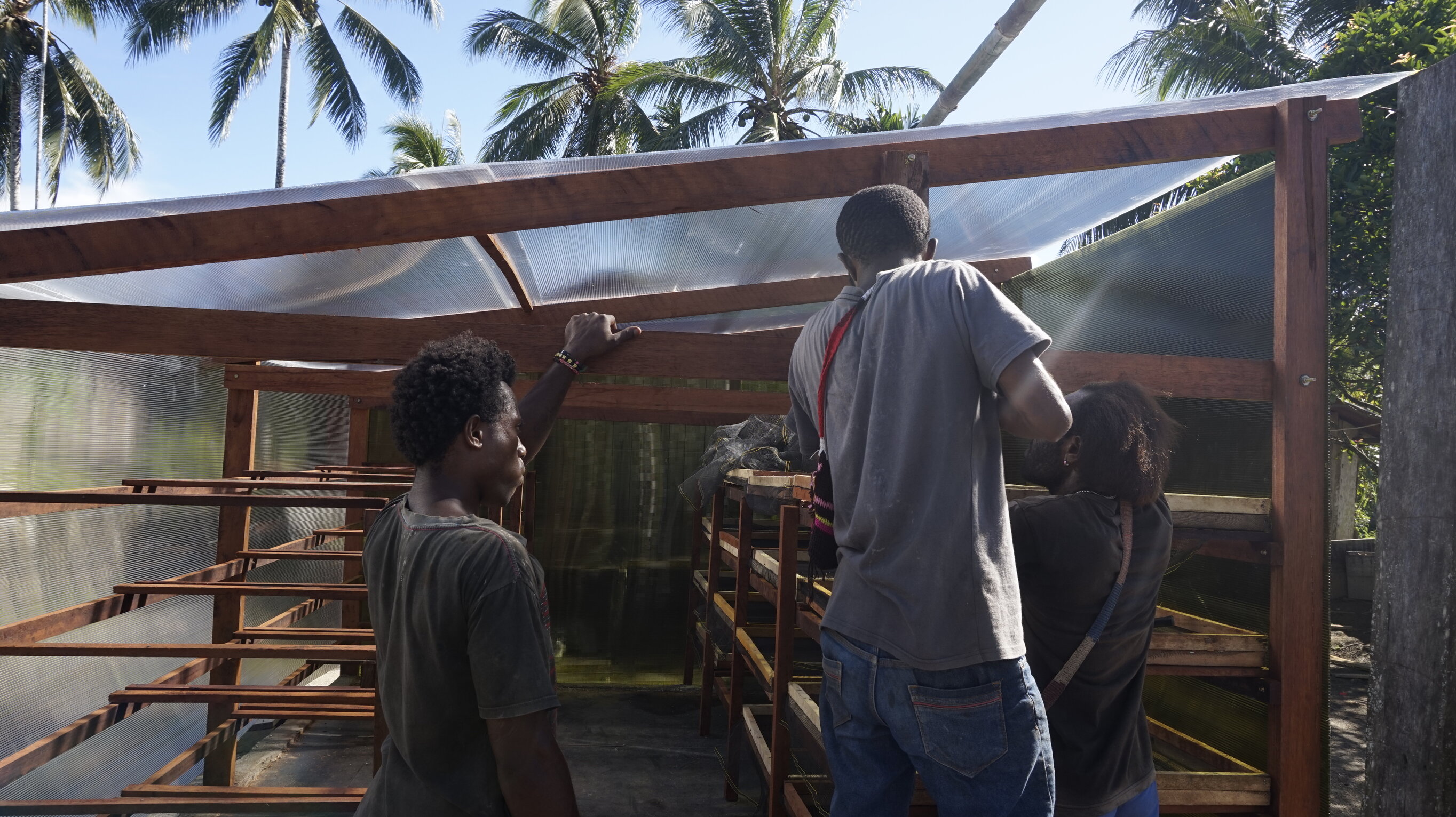 Kopernik | Cacao Solar Dryer Re-design for the Papuan Context