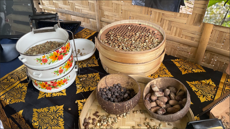 Kopernik | Efficient Sorting Solution: Testing a Small-Scale Coffee ...